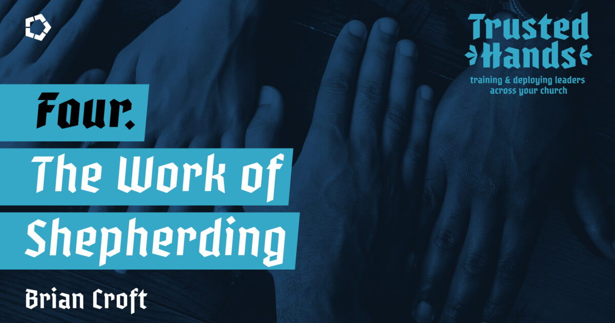 The Work of Shepherding - FIEC