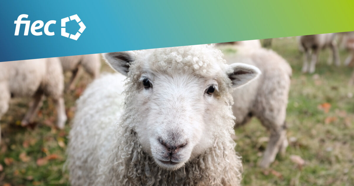 Know Your Flock Before You Preach - FIEC Know Your Flock Before You Preach - FIEC